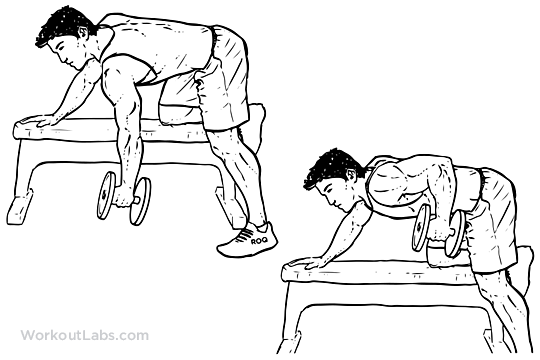 Musculação: os 5 melhores exercícios para costas