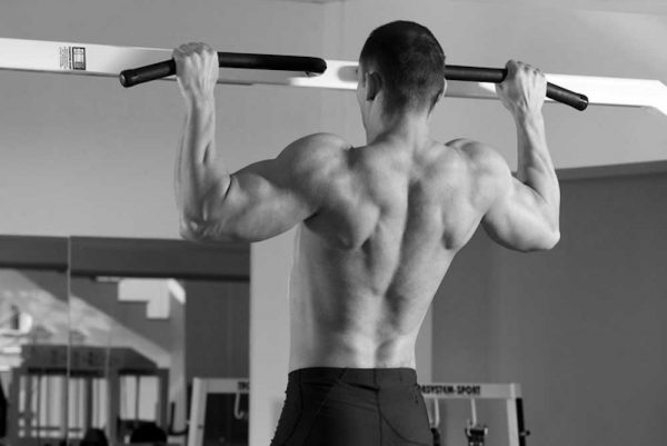 Musculação Os 5 Melhores Exercícios Para Costas