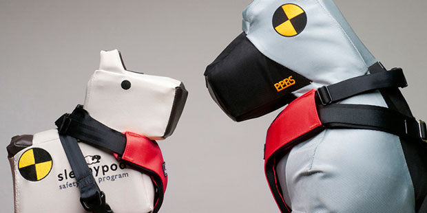 Como é a vida de um crash test dummy, o boneco de teste de colisão