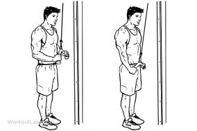 kibemeu: Os 5 melhores exercícios para tríceps