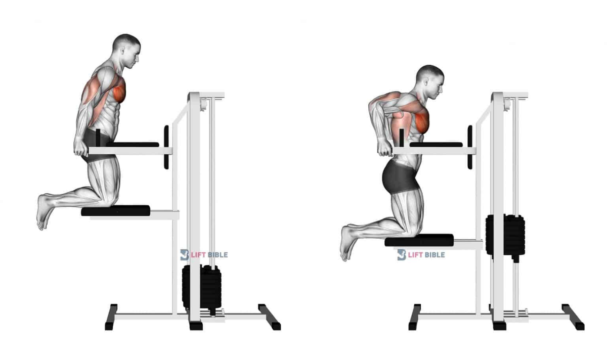 Quer ter tríceps gigantes? Descubra 5 exercícios essenciais!